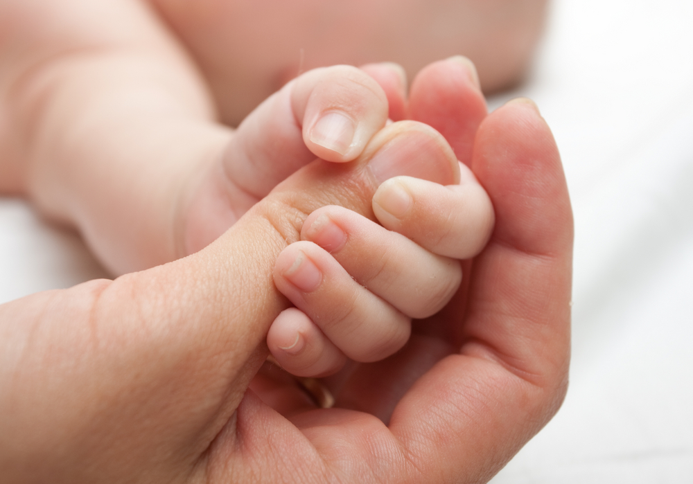 The Evolution Of Grasping BabySparks The Evolution Of Grasping BabySparks